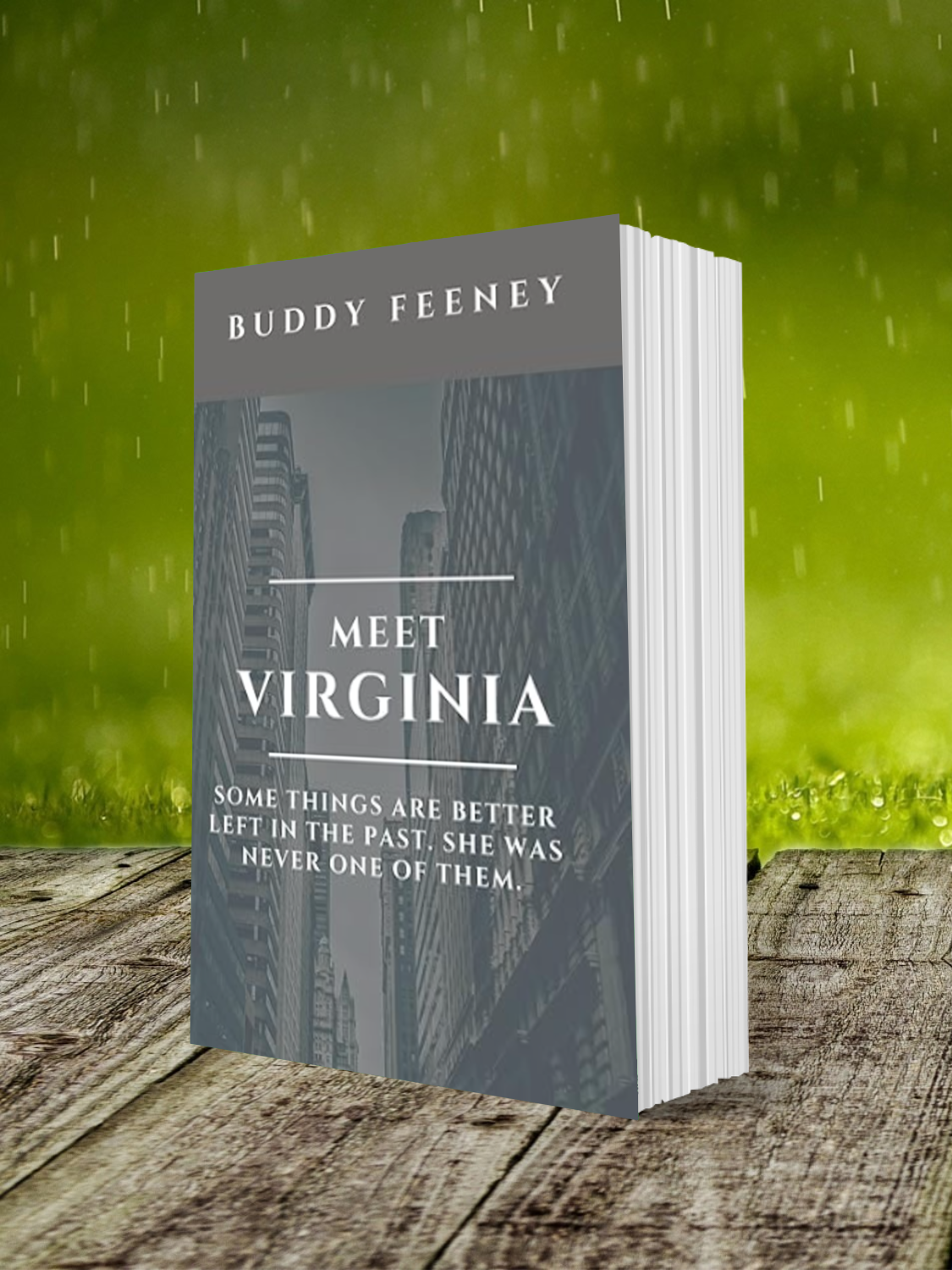 Meet Virginia by Buddy Feeney - Book Review - Annalise Reads