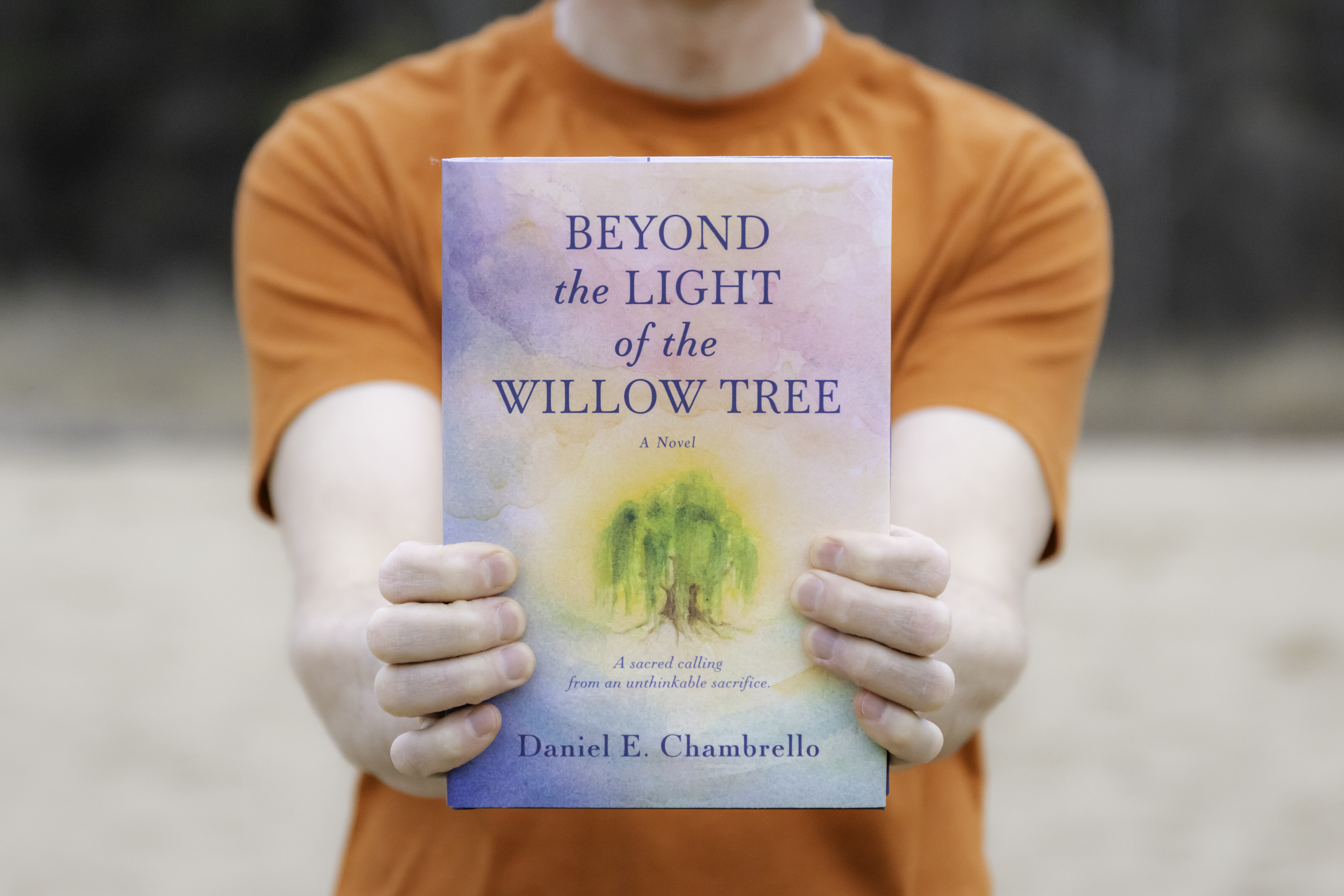 Beyond the Light of the Willow Tree - Book Review - Annalise Reads